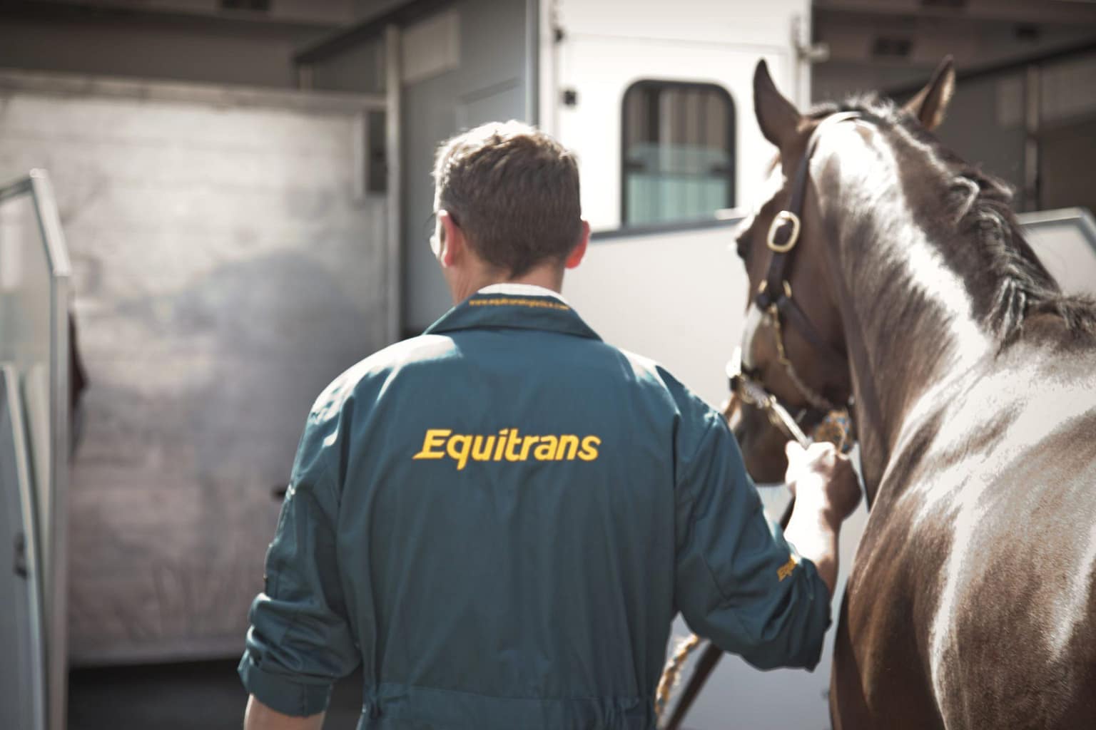 Horses - Equitrans Logistics – International Horse and Animal Transporters
