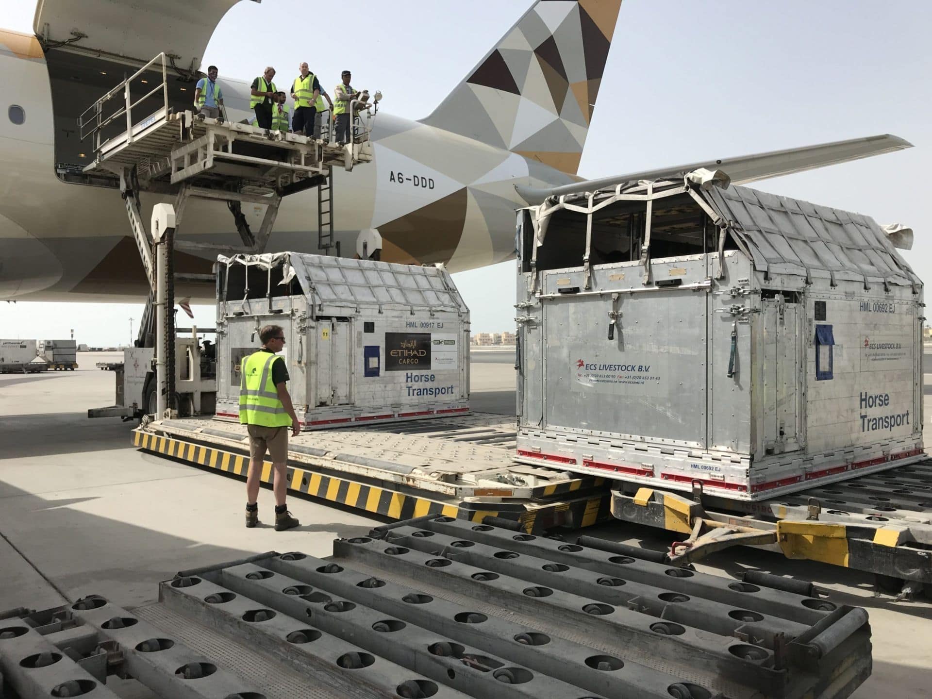 Equitrans: UAE’s Pioneer in Horse Shipping Celebrates 20 Years’ of ...